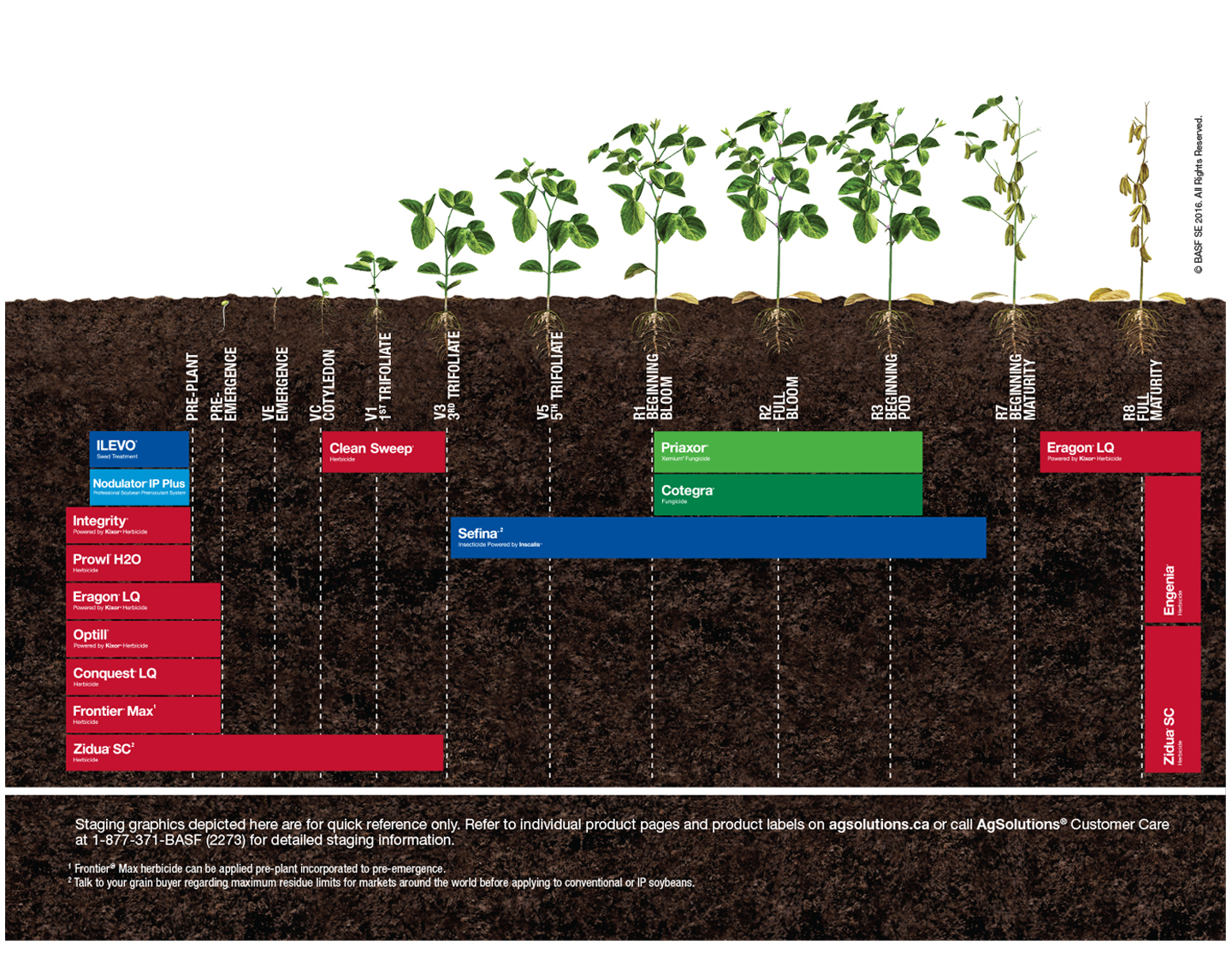 BASF | Crops - IP Soybeans